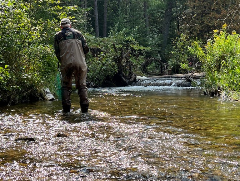 Fichigan | Small Stream Trout fishing in Michigan