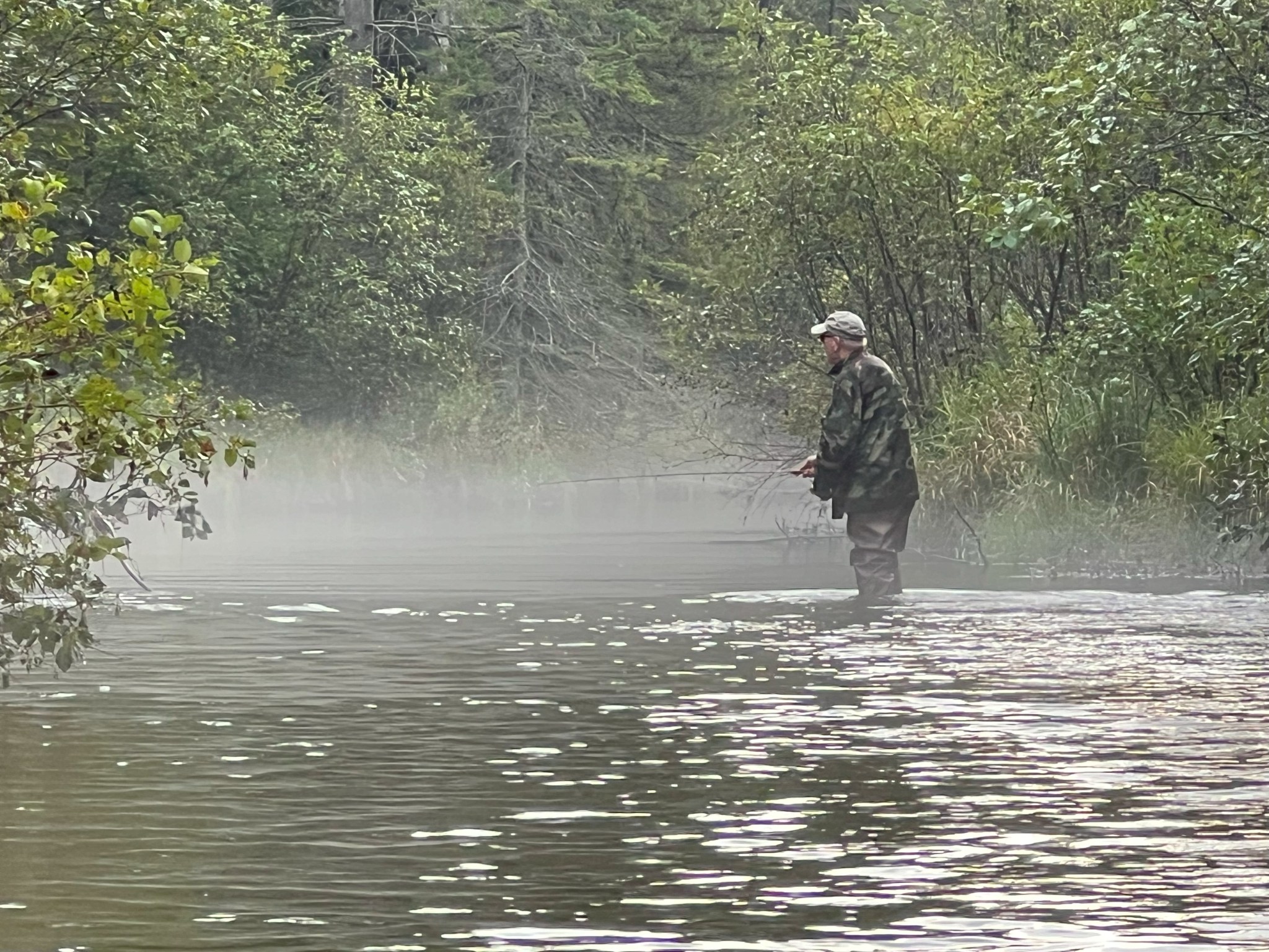 Fichigan | Small Stream Trout fishing in Michigan
